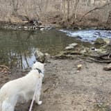 Bonner Park Loop, Pennsylvania - 301 Reviews, Map | AllTrails