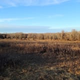 Assunpink Wildlife Management Area Trails, New Jersey - 205 Reviews ...