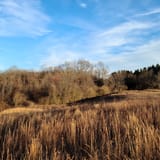 Assunpink Wildlife Management Area Trails, New Jersey - 205 Reviews ...