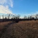 Assunpink Wildlife Management Area Trails, New Jersey - 205 Reviews ...