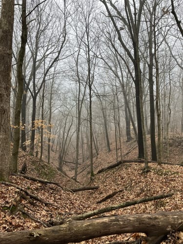 2023 Best Moderate Trails in Kickapoo State Park | AllTrails