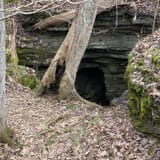 Hickory Ridge Outer Trail, Tennessee - 381 Reviews, Map | AllTrails