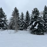 Niwot Loop Trail, Colorado - 462 Reviews, Map | AllTrails