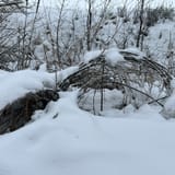 Niwot Loop Trail, Colorado - 462 Reviews, Map | AllTrails