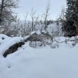 Niwot Loop Trail, Colorado - 462 Reviews, Map | AllTrails