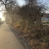 Georgetown-Lewes Trail, Delaware - 533 Reviews, Map | AllTrails