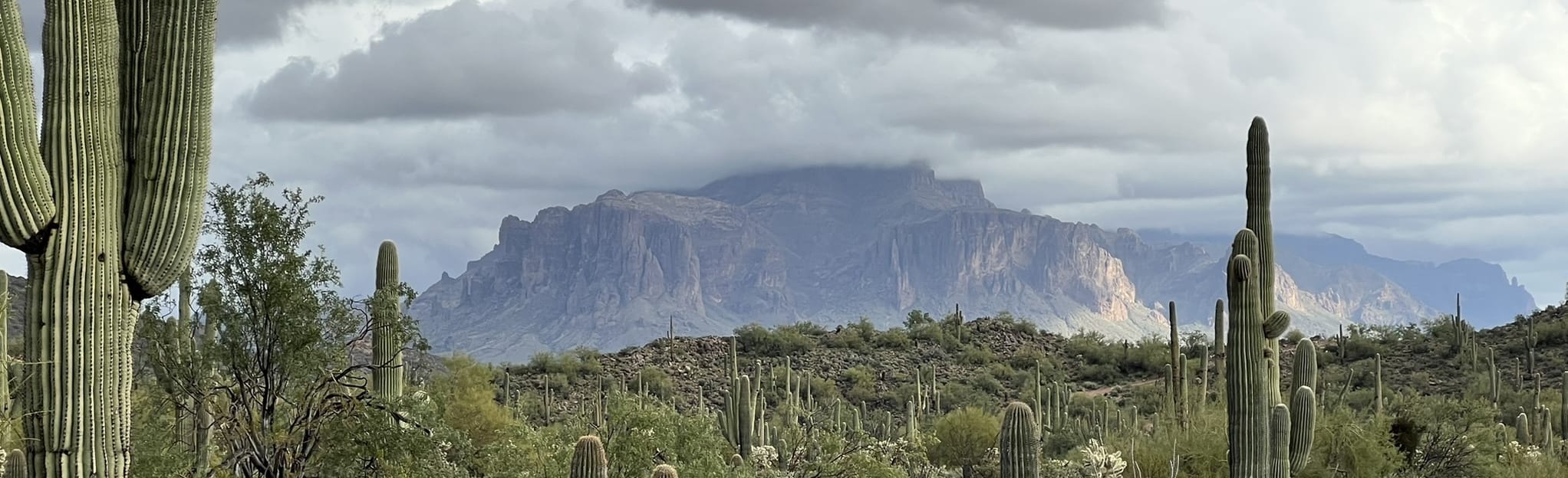 Meridian and Pass Mountain Loop , Arizona - 266 Reviews, Map | AllTrails