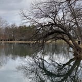 Clearbrook Lake Loop, Virginia - 152 Reviews, Map | AllTrails