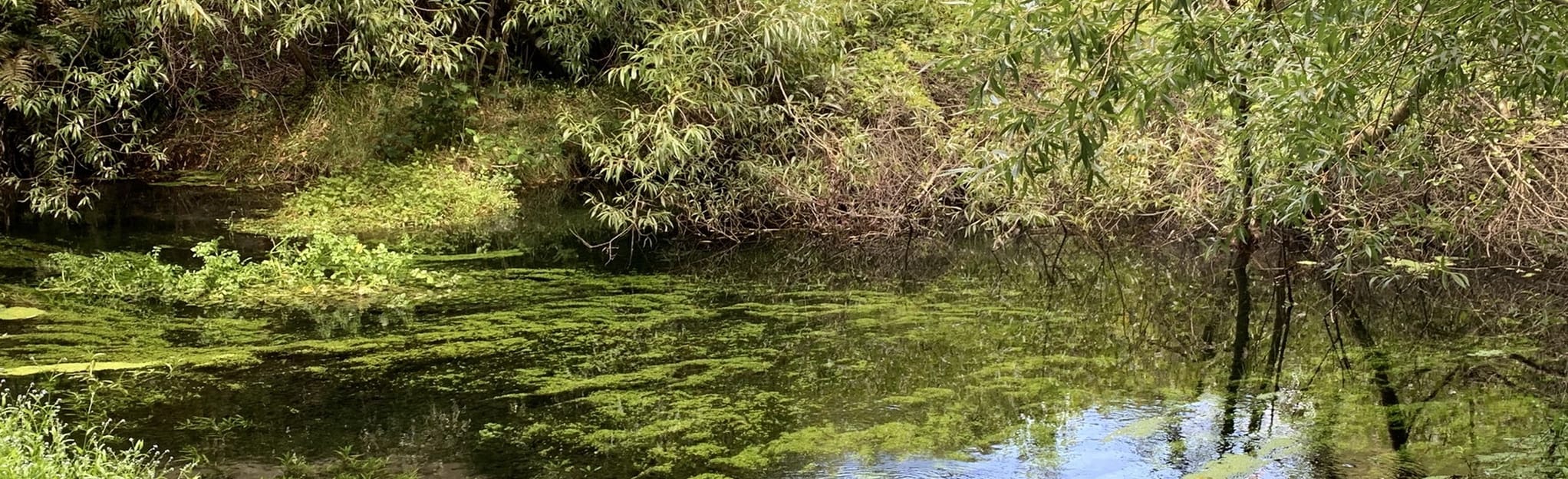 Rakaia Huts Walk, Canterbury, New Zealand - 10 Reviews, Map | AllTrails