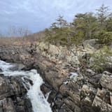 Gold Mine Loop Trail, Maryland - 859 Reviews, Map | AllTrails