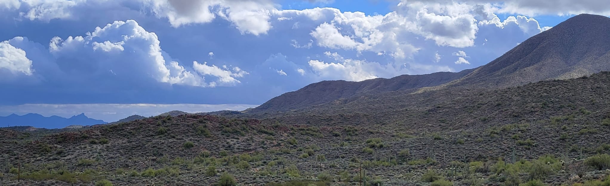 Dixie Mine, Arizona - 826 Reviews, Map | AllTrails