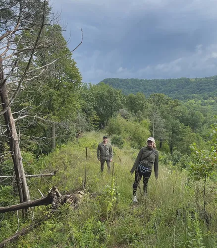 2023 Best Historic Site Trails in New Albin | AllTrails