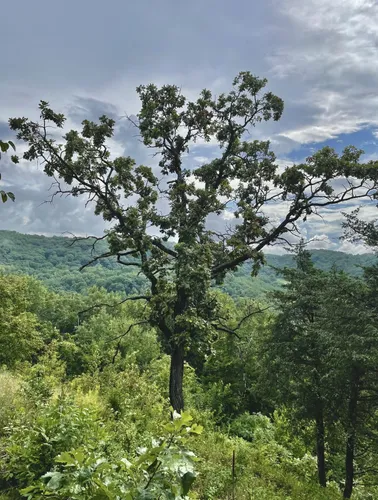 2023 Best Historic Site Trails in New Albin | AllTrails