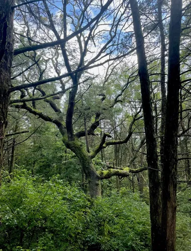 2023 Best Historic Site Trails in New Albin | AllTrails