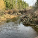 PSE Powerline Trail, Washington - 374 Reviews, Map | AllTrails