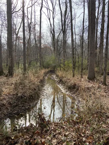 Best Hikes and Trails in B. Everett Jordan Project | AllTrails