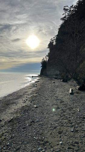 Best Hikes and Trails in Possession Point State Park | AllTrails