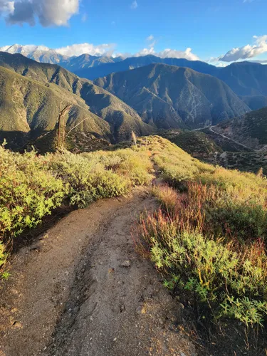 2023 Best 10 Trails and Hikes in Azusa | AllTrails