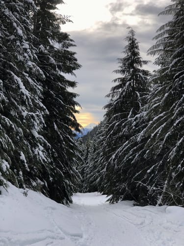 Best Hikes and Trails in Hemlock Valley | AllTrails
