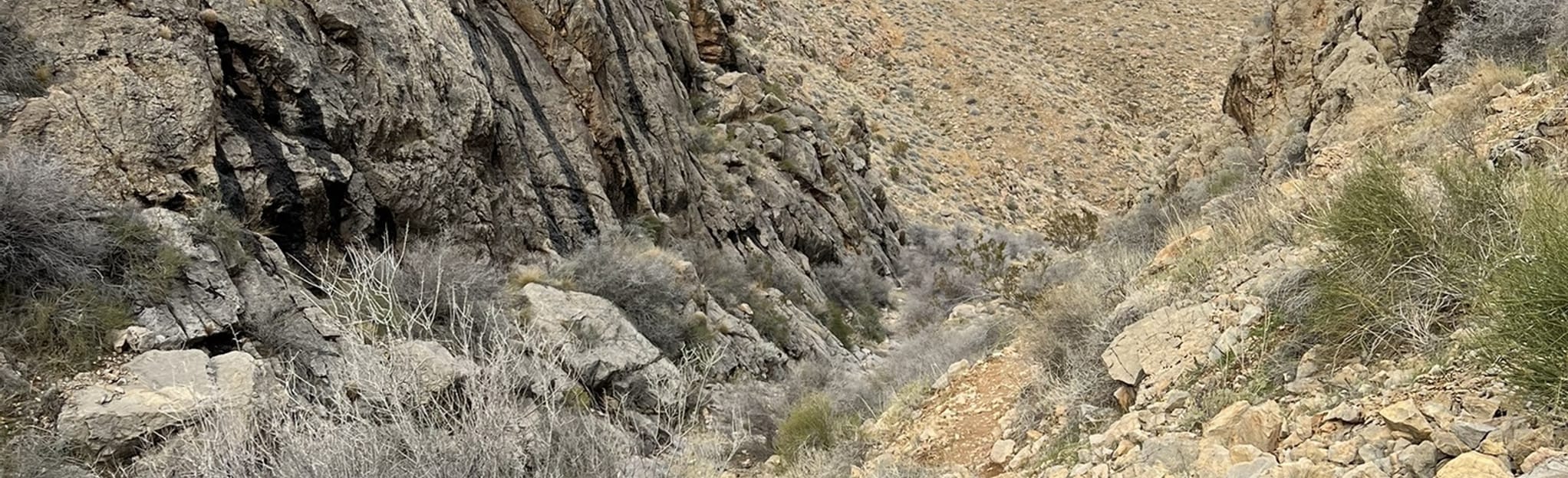 Cedar Pocket Hike: 13 Reviews, Map - Arizona | AllTrails