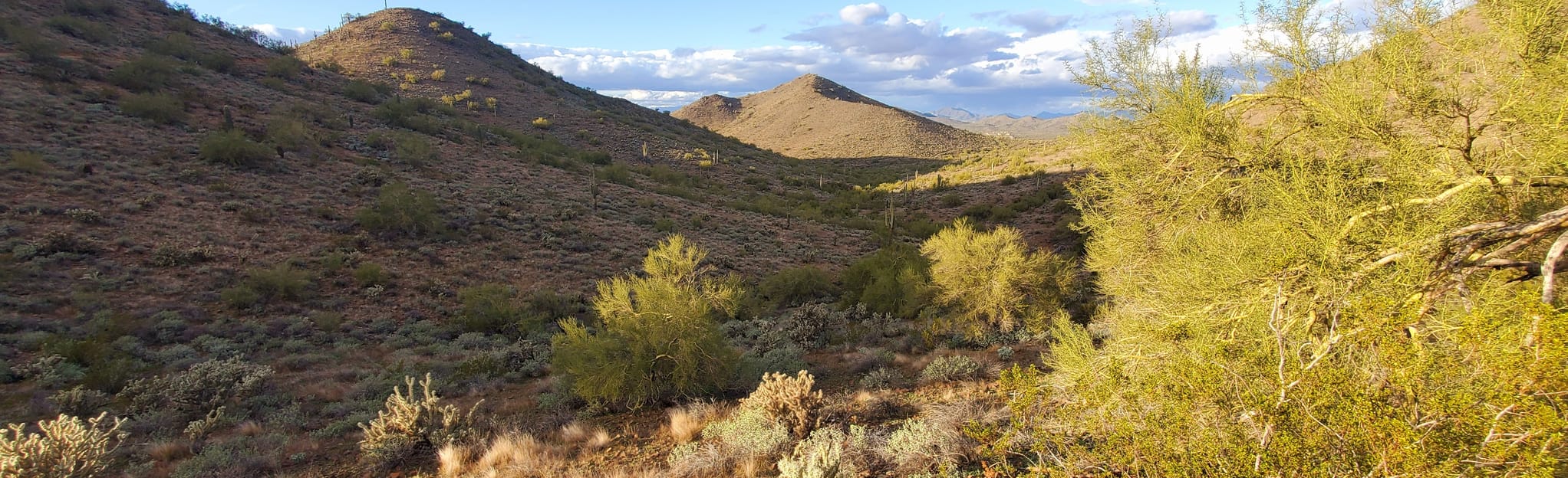 Hawk's Nest Trail and Dixie Mountain Loop - Arizona | AllTrails