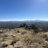 Tanque Verde Peak via Tanque Verde Ridge Trail, Arizona - 345 Reviews ...