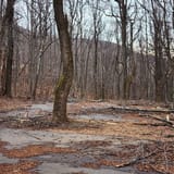 Dickey Ridge Trail, Virginia - 356 Reviews, Map | AllTrails