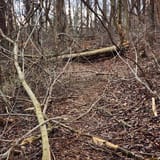 Dickey Ridge Trail, Virginia - 356 Reviews, Map | AllTrails