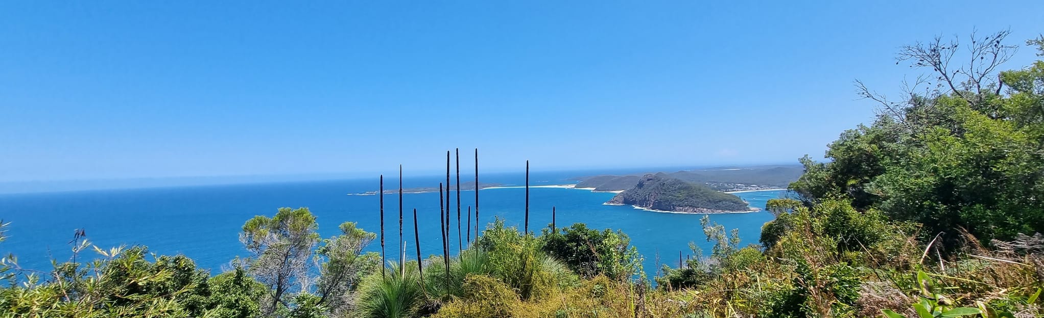 Yacaaba Headland Walk: 147 Reviews, Map - New South Wales, Australia ...