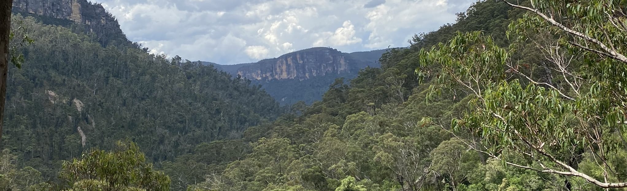 Victoria Falls Walking Track, New South Wales, Australia - 255 Reviews ...