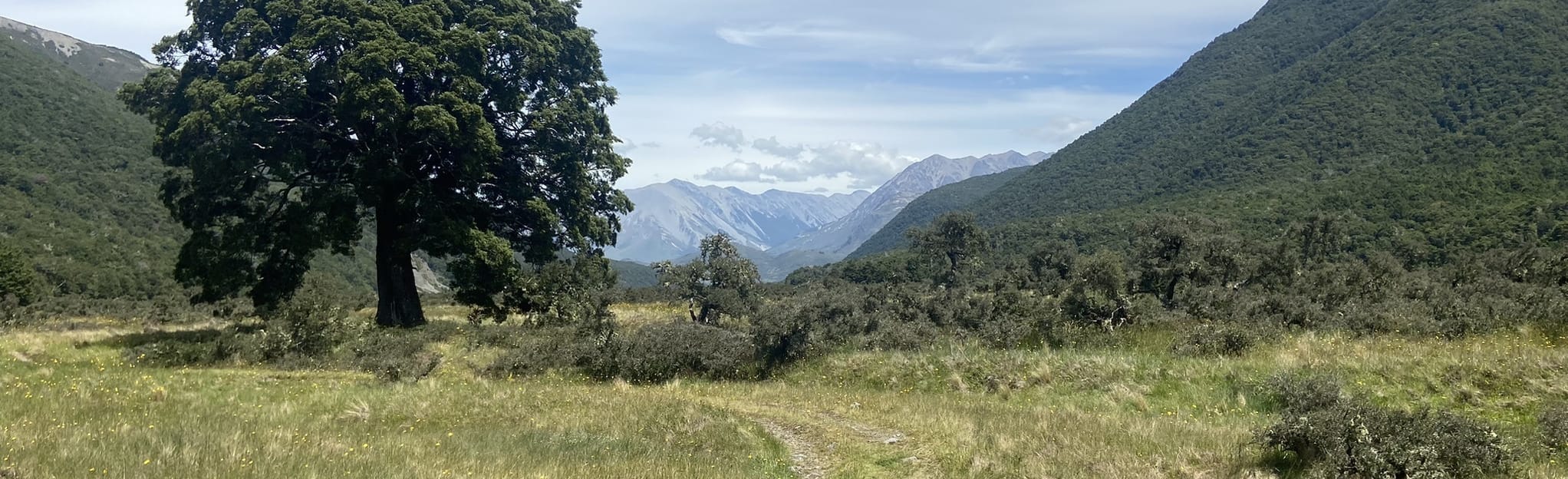 Hawdon Shelter Campsite to Hawdon Hut | Map, Guide - Canterbury, New ...