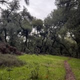 Morgan Trail, California - 432 Reviews, Map | AllTrails