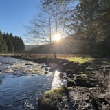 Snake Woodland and Snake Path Circular, Derbyshire, England - 166 ...