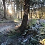 Snake Woodland and Snake Path Circular, Derbyshire, England - 176 ...