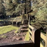 Snake Woodland and Snake Path Circular, Derbyshire, England - 177 ...