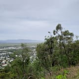 Mt Louisa Walking Track, Queensland, Australia - 231 Reviews, Map ...