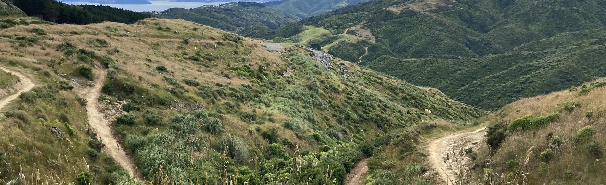 Belmont Region Park Loop Track, Wellington, New Zealand - 5 Reviews ...
