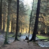 Snake Woodland and Snake Path Circular, Derbyshire, England - 141 ...