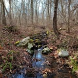 Pawcatuck River Loop, Rhode Island - 167 Reviews, Map | AllTrails