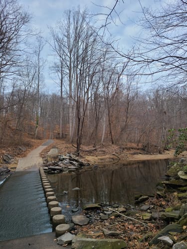 Holmes Run Park: Die besten Routen in 2023 | AllTrails