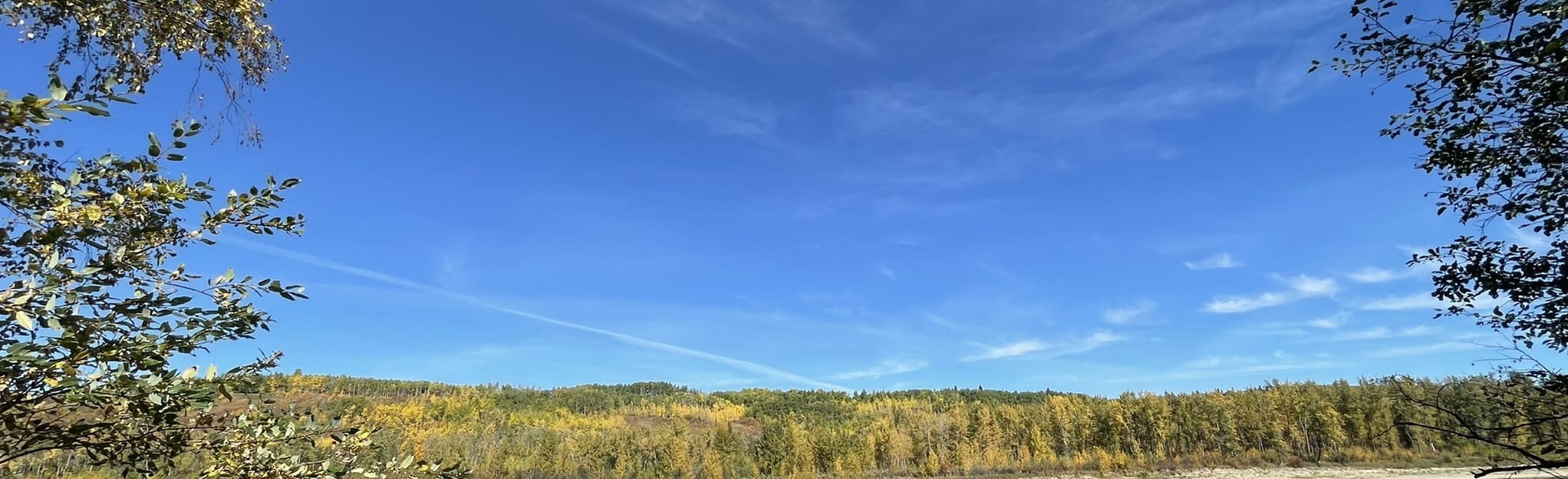 Devon River Valley Trail, Alberta, Canada - 254 Reviews, Map | AllTrails