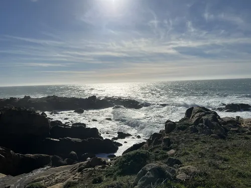 10 Best Hikes and Trails in Salt Point State Park | AllTrails