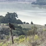 Pulgas Water Temple Area Exploration, California - 106 Reviews, Map ...