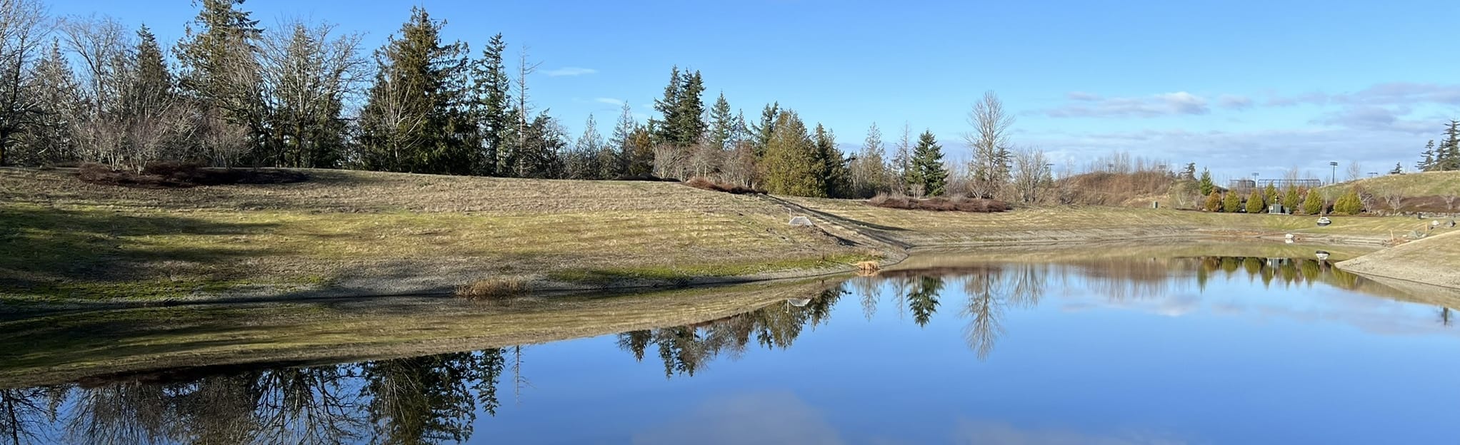 High Point Trail, Washington - 201 Reviews, Map | AllTrails