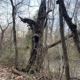 Elk Run, Virginia - 352 Reviews, Map | AllTrails