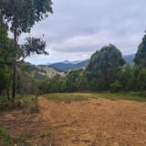 Taggerty River Lookout Loop, Victoria, Australia - 67 Reviews, Map ...