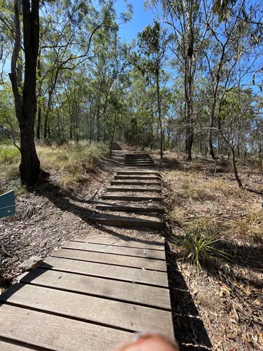 10 Best Hikes and Trails in Toohey Forest Park | AllTrails