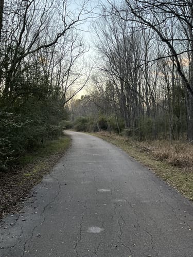 Best Hikes and Trails in Addicks Reservoir | AllTrails