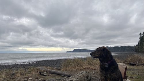 2023 Best Beach Trails in Joyce | AllTrails