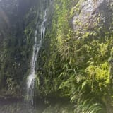 Newton’s Waterfall from Akaroa, Canterbury, New Zealand - 128 Reviews ...